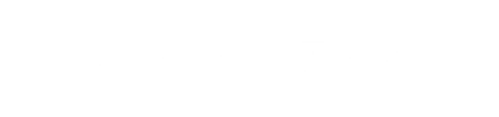 BÁTAR – Le drakkar le plus rapide du monde